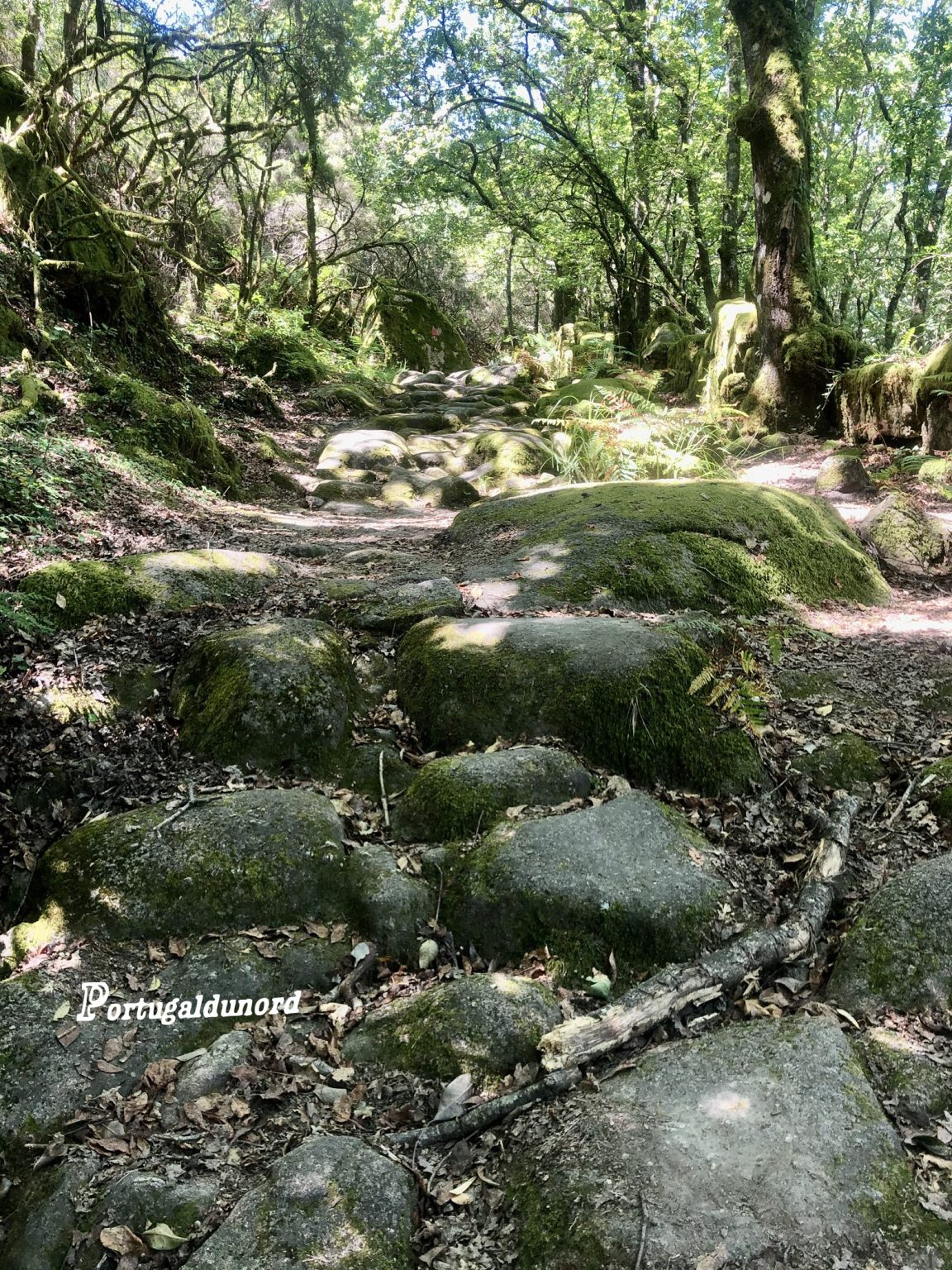 Geira Romana, Parc National Penéda-Gerês - Portugal du Nord