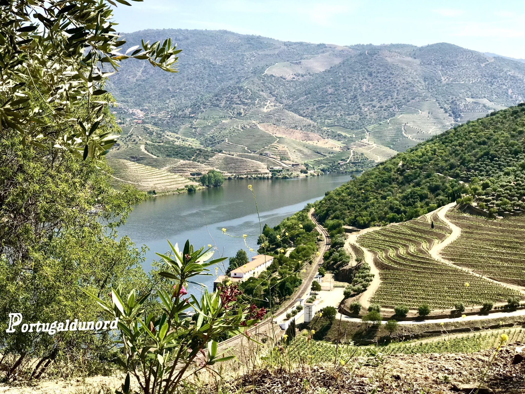 Le Douro, le grand fleuve du nord du Portugal